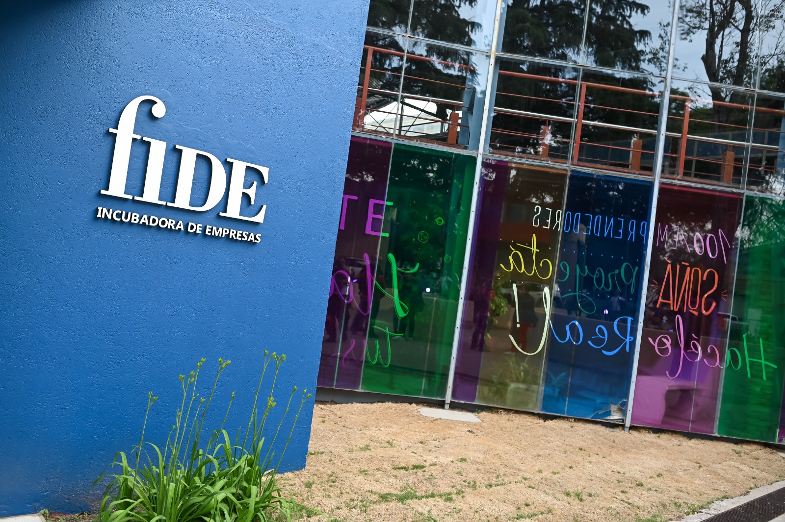 FIDE abre la convocatoria para Incuba 360°, un programa integral para ...